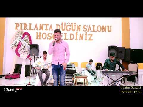 Şahiné Surgıçi Grani  Uzun Version Foto Çiçek