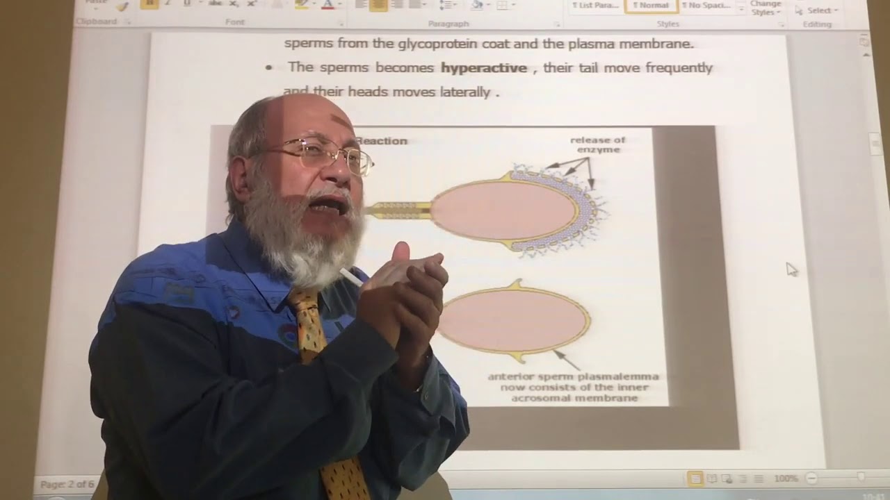 General embryology 9 ( Fertilization ) , by dr. wahdan - YouTube