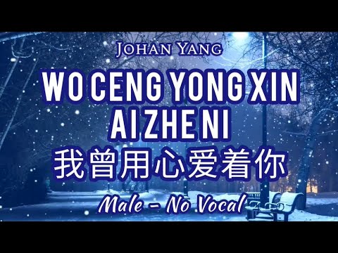 Wo Ceng Yong Xin Ai Zhe Ni 我曾用心爱着你 - Male Key No Vocal - YouTube