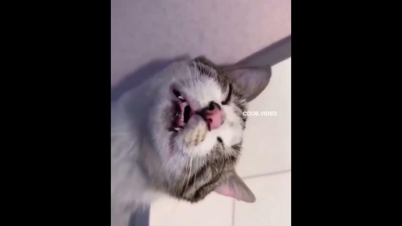 Удобно и точка))) - YouTube