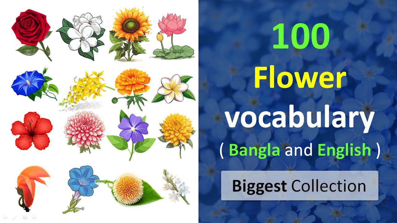 Flowers of Bangladesh- 100 Flowers (Bangla and English names) - YouTube