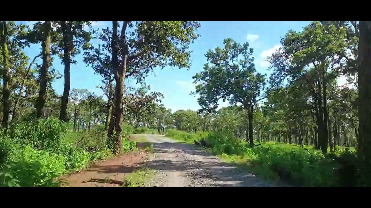 Mainpat chattisgarh beautifull nature - YouTube