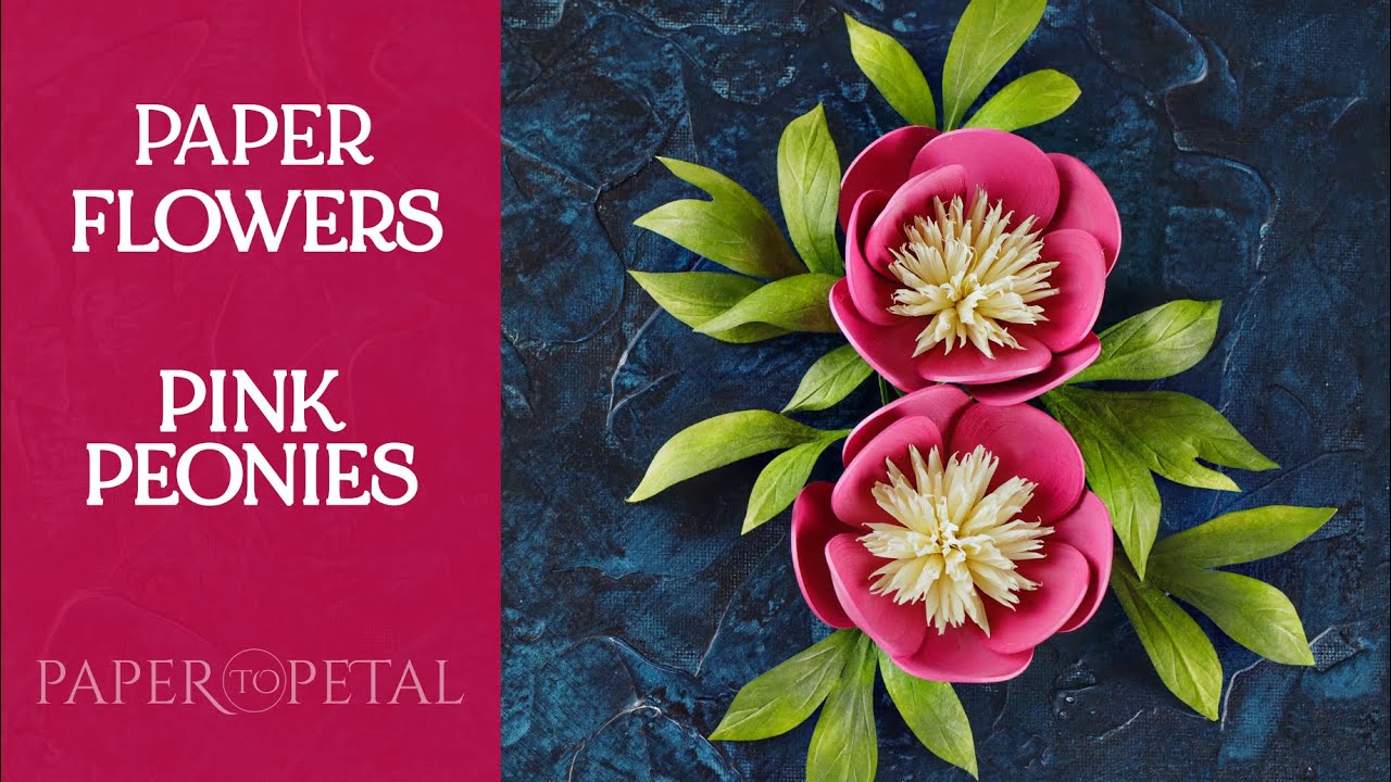 Paper Flowers: Pink Peonies - 3D Paper Art - Relaxing Art - YouTube