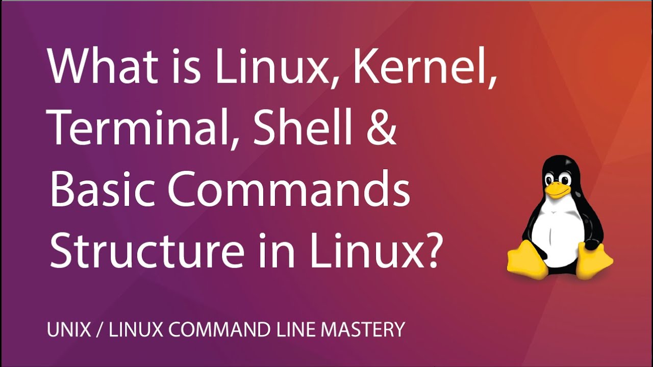 What Is Linux Kernel Terminal Shell And Basic Commands Structure In What Is Linux Kernel Terminal Shell And Basic Commands Structure In