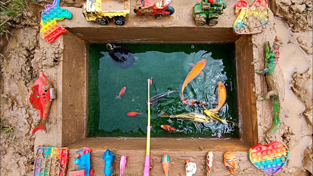 membersihkan mainan mobil mobilan, memancing ikan hias, menangkap ikan ...