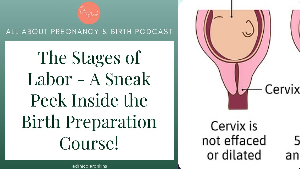 All About Pregnancy & Birth - Ep 242: The Stages of Labor - A Sneak ...