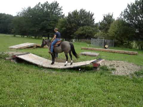 Training with MARK BOLENDER - Back up on the hanging bridge - YouTube