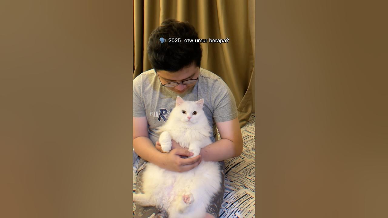 Sehat-sehat semuanya 🤗 - YouTube