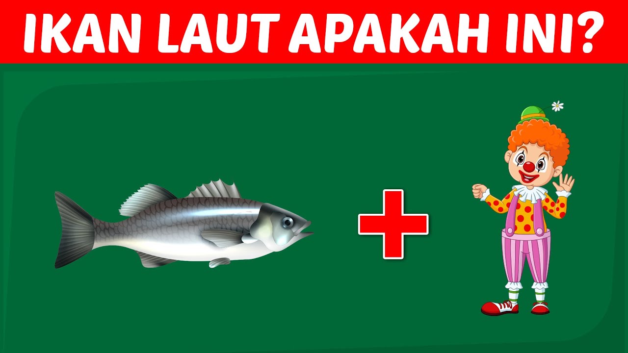 Kebangetan Kalo Salah Coba Jawab Teka Teki Tebak Gambar Nama Ikan Laut