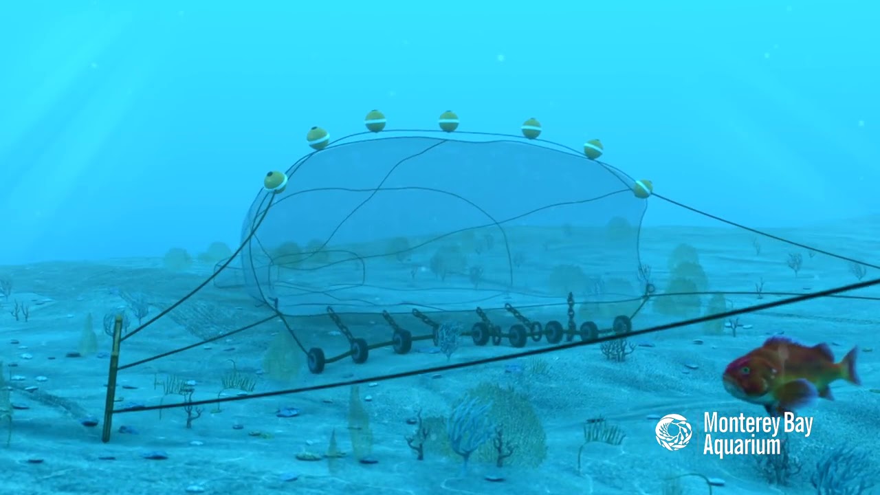 deep sea fishing trawling - YouTube