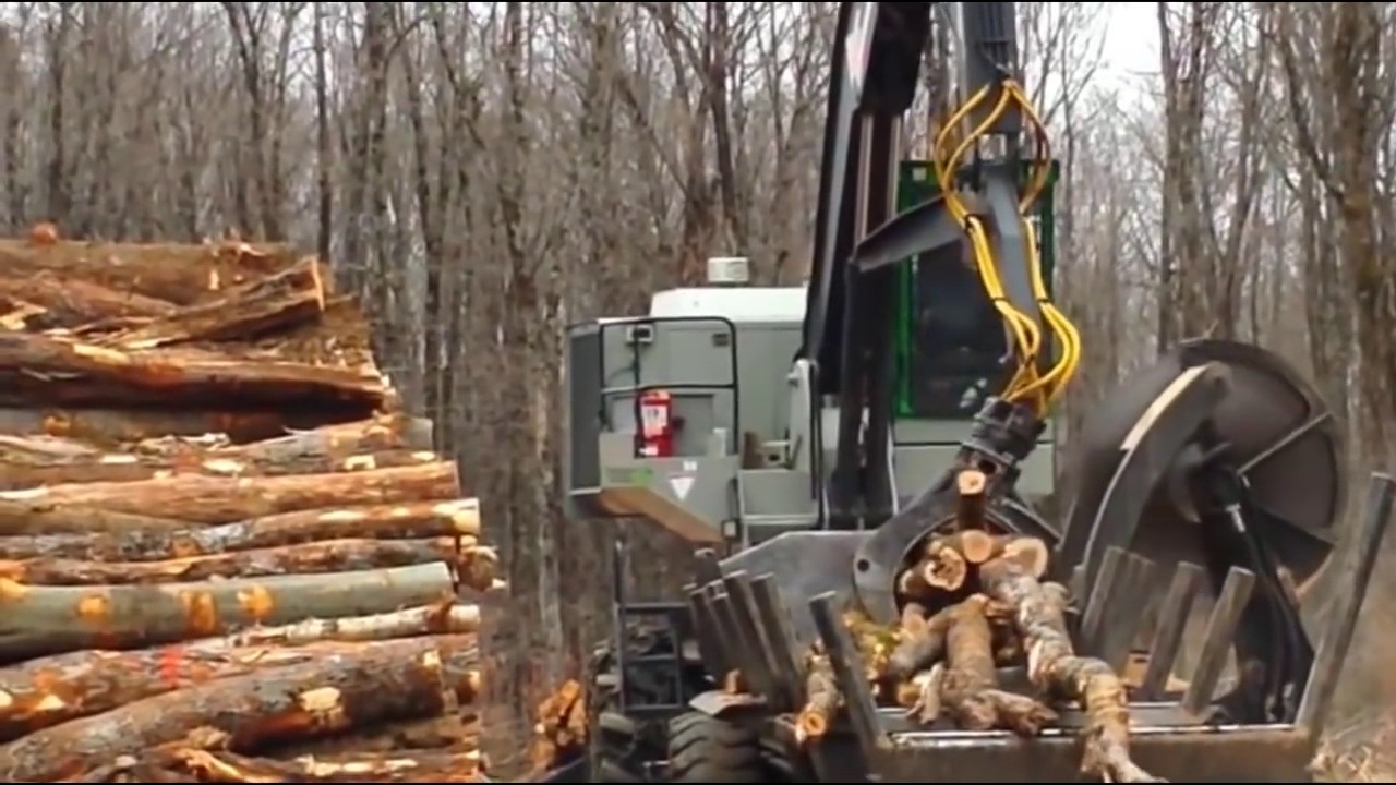 Sexy Girls and Log Splitter, Chainsaw, Circular Saw New Technologies ...