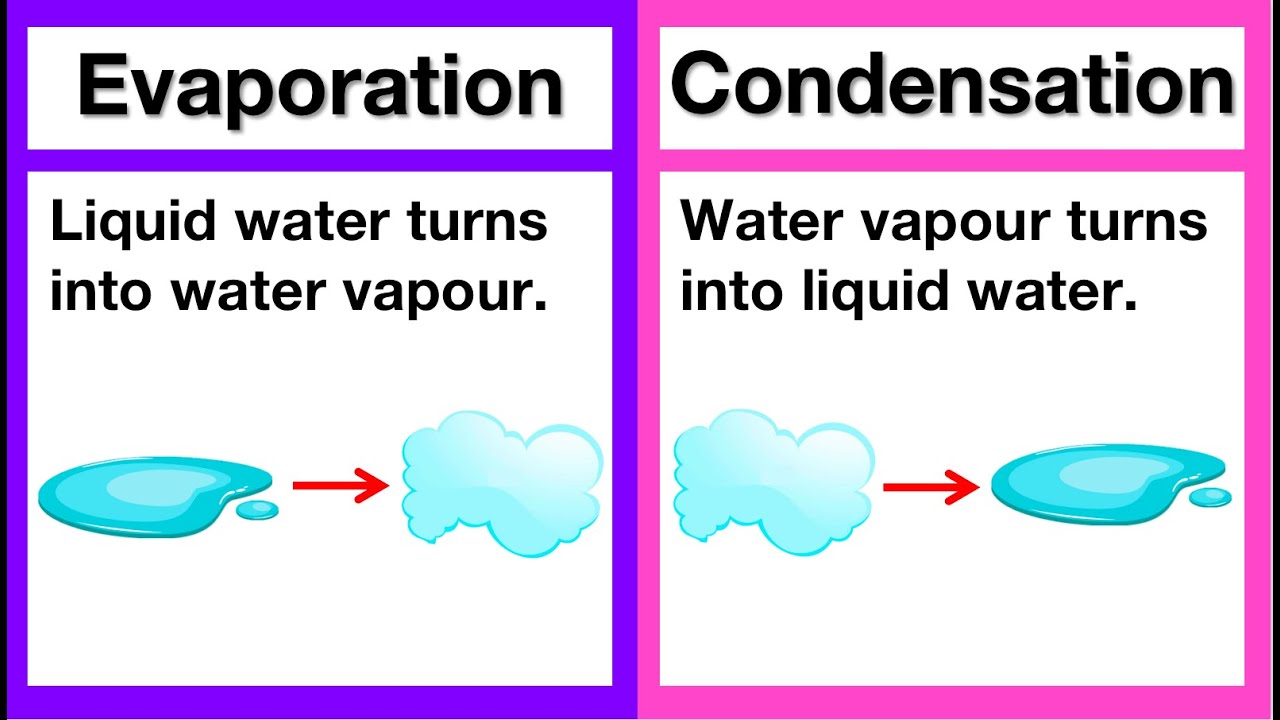 Evaporation vs Condensation 🤔 | What's the difference? | Examples of evaporation and ...