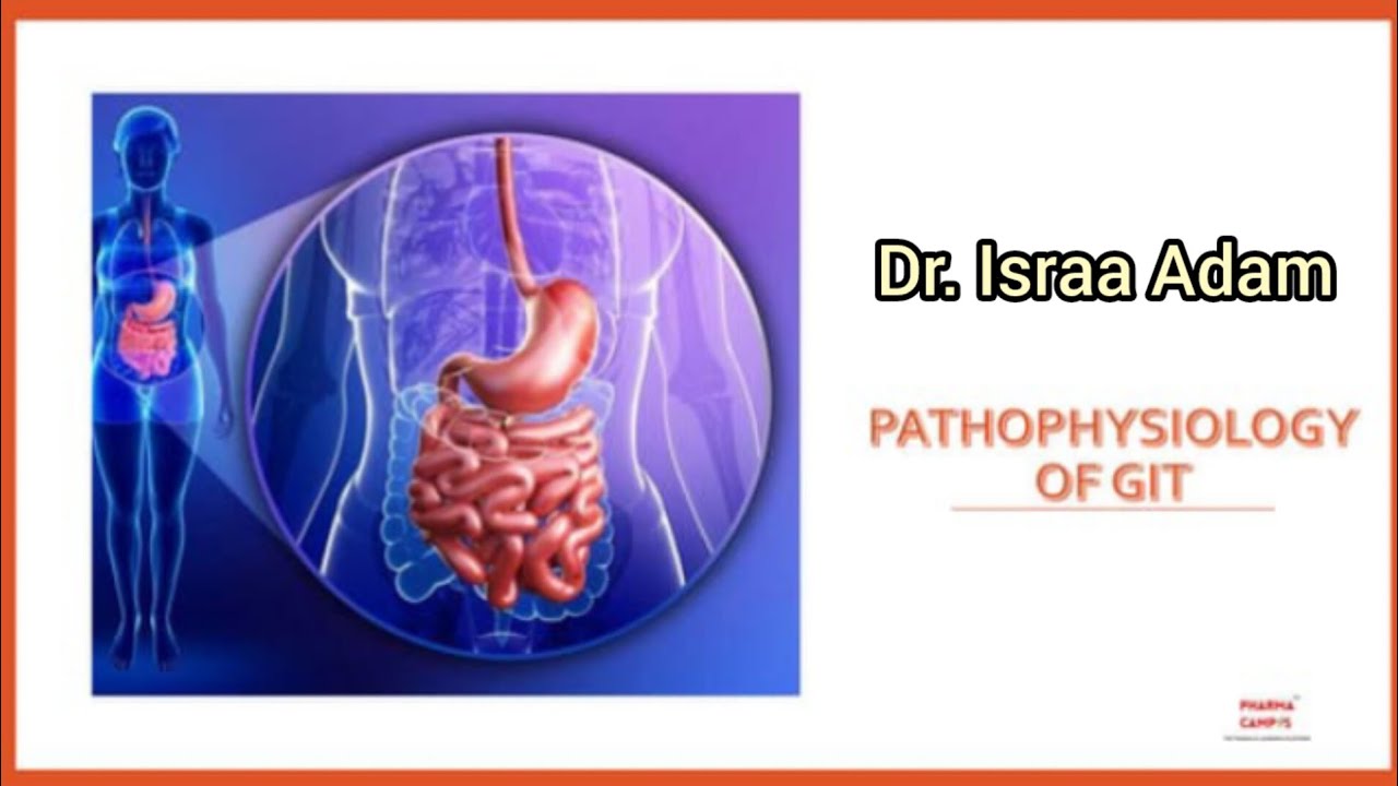 pathology of GIT | lecture (6) | Small intestine - YouTube