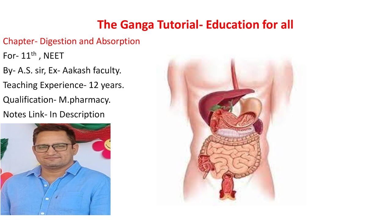 Digestion L10-Disorders - YouTube