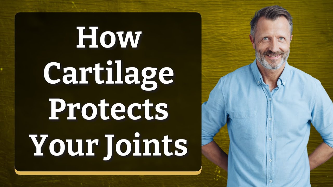 How Cartilage Protects Your Joints - YouTube