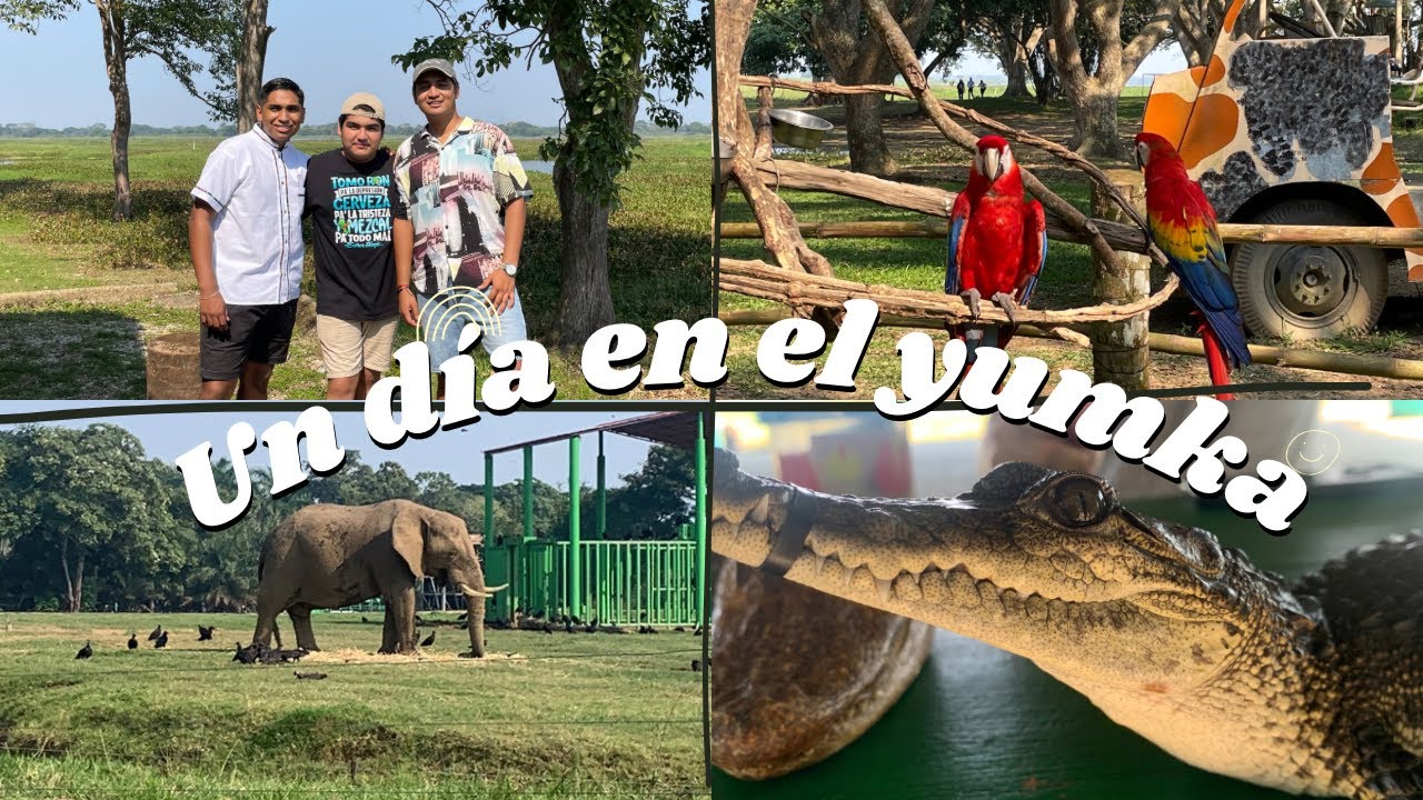 Visitando el yumka 2023 Villahermosa Tabasco | Vlog 7 🐅🐊🐘 - YouTube