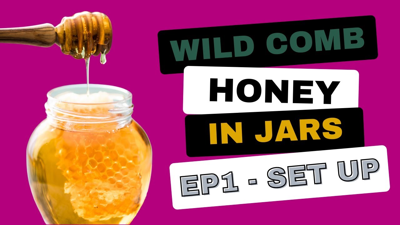 Ep 1 - How To Make Wild Comb Section Honey Jars - YouTube