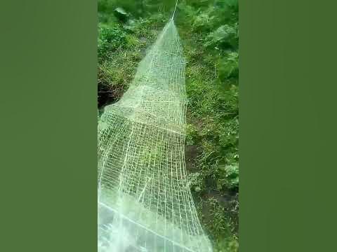 Раколовка дорожка/// Учебная раколовка дорожка/// Раколовка дорожка для ...