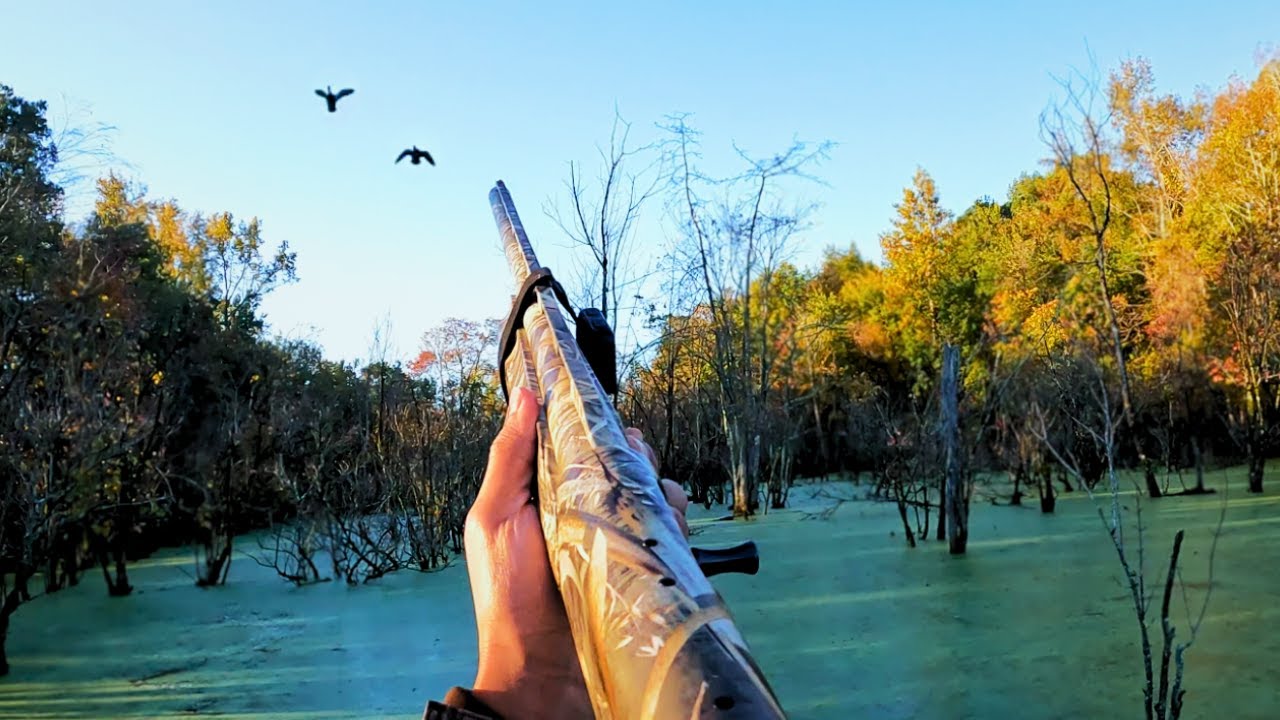 First Time Shooting Mallards in the Swamp! - YouTube