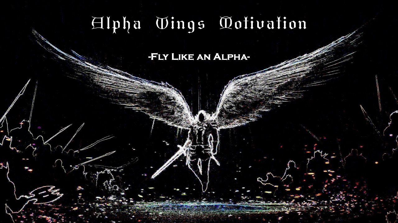 Alpha Wings Motivation Live Stream - YouTube