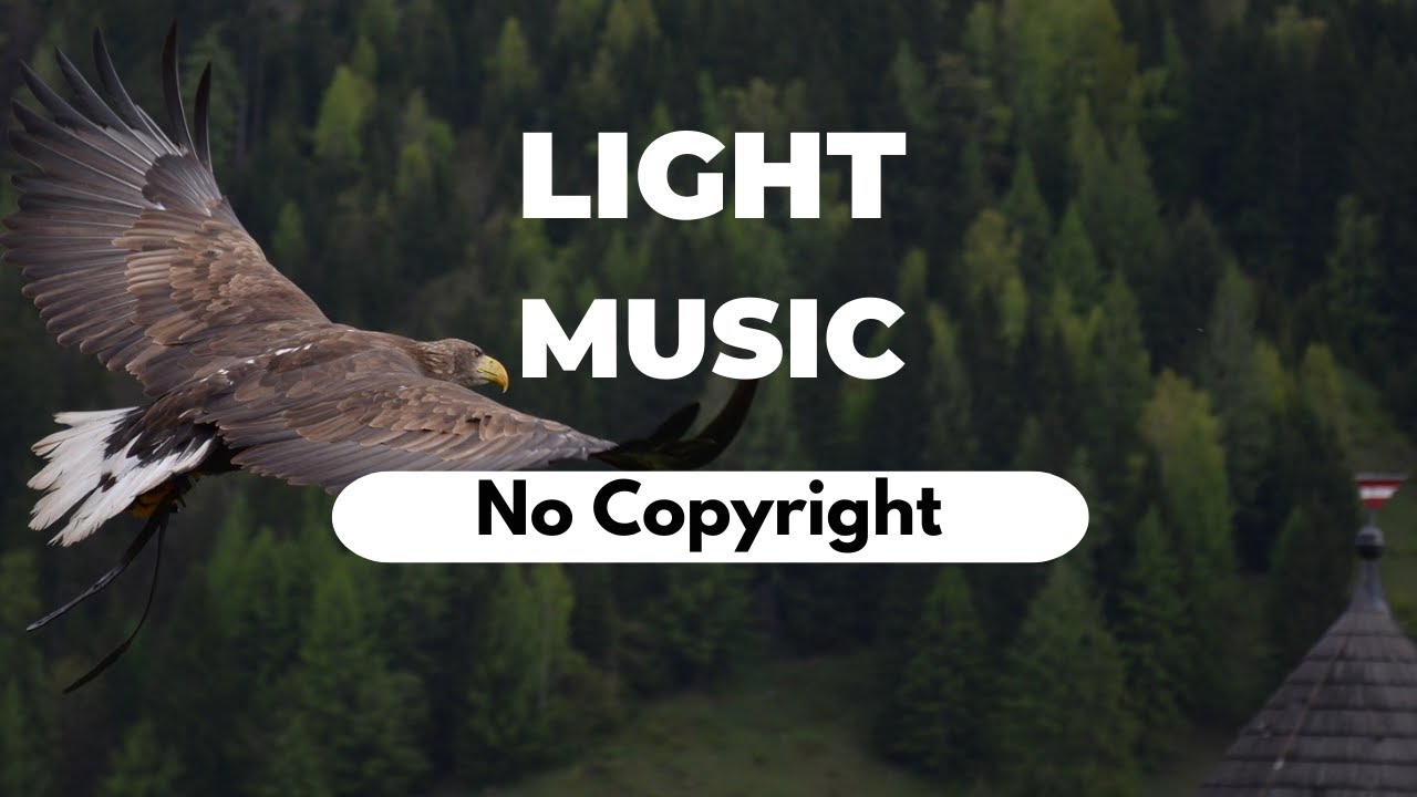 Background Music For Videos | Making Progress - Dan Phillipson - YouTube