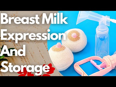 How To Hand Express And Store Breast Milk Step By Step For Beginner