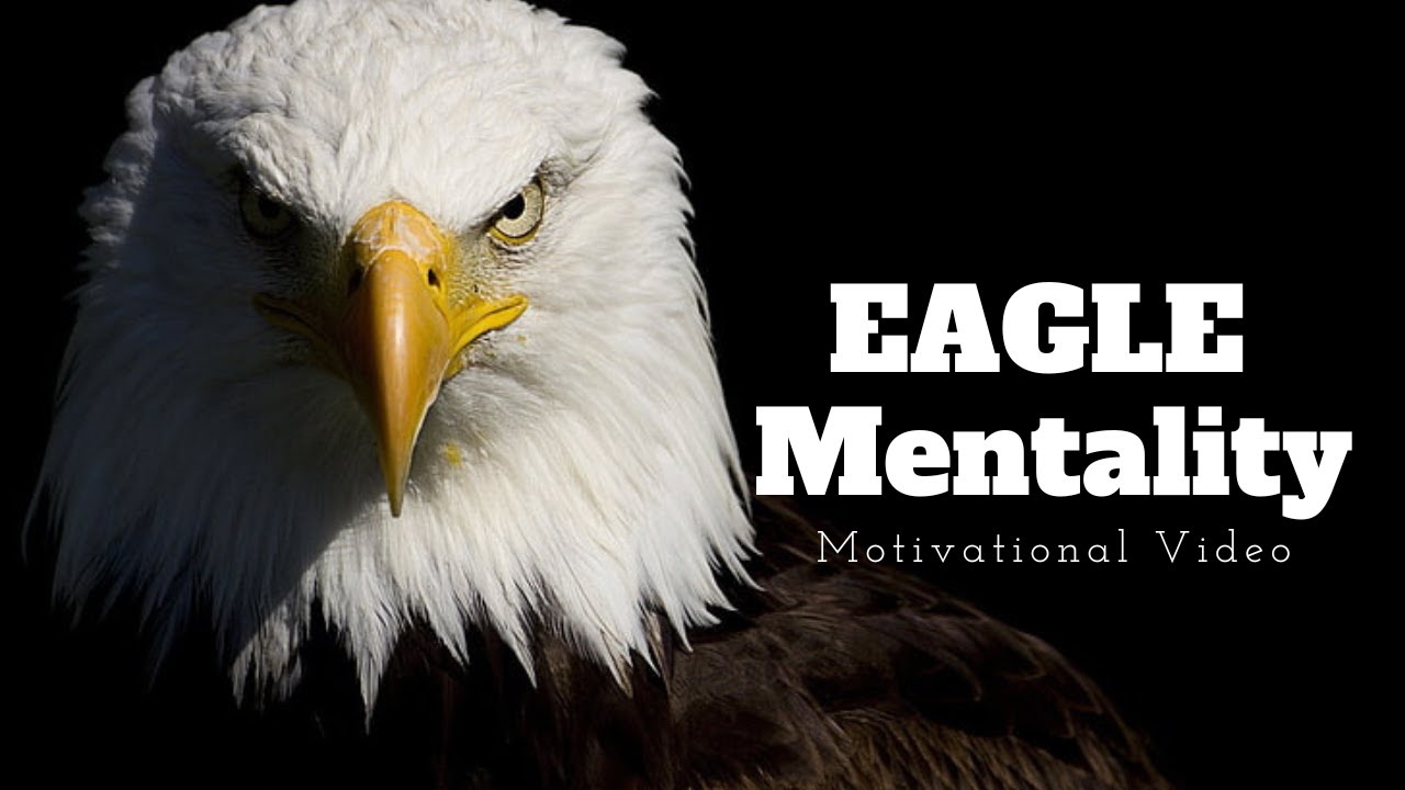 Eagle Mentality | 7 Lessons To Learn From Eagle | Self Improvement ...