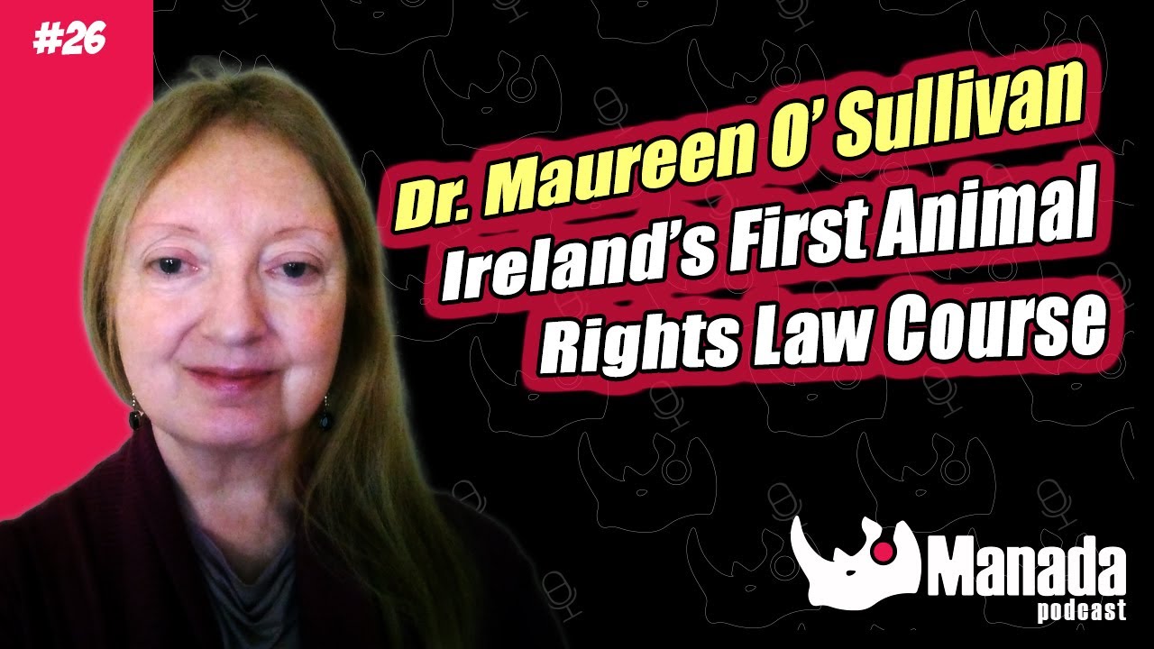 Maureen O' Sullivan - The First Animal Rights Law Course in Ireland ...
