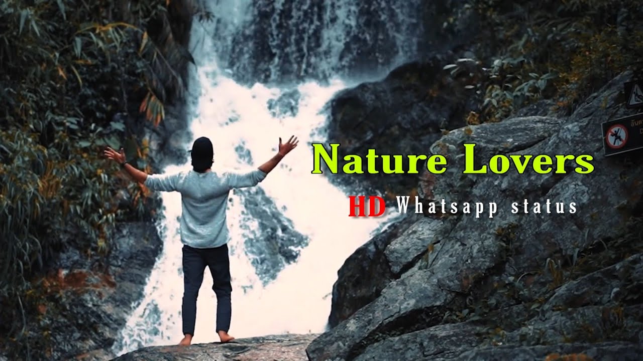 🌿 Nature Lovers Forever 🌿 || Trending whatsapp status tamil || Tamil ...