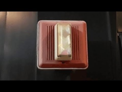 Edwards Integrity Horn Strobe Fire Alarm - YouTube