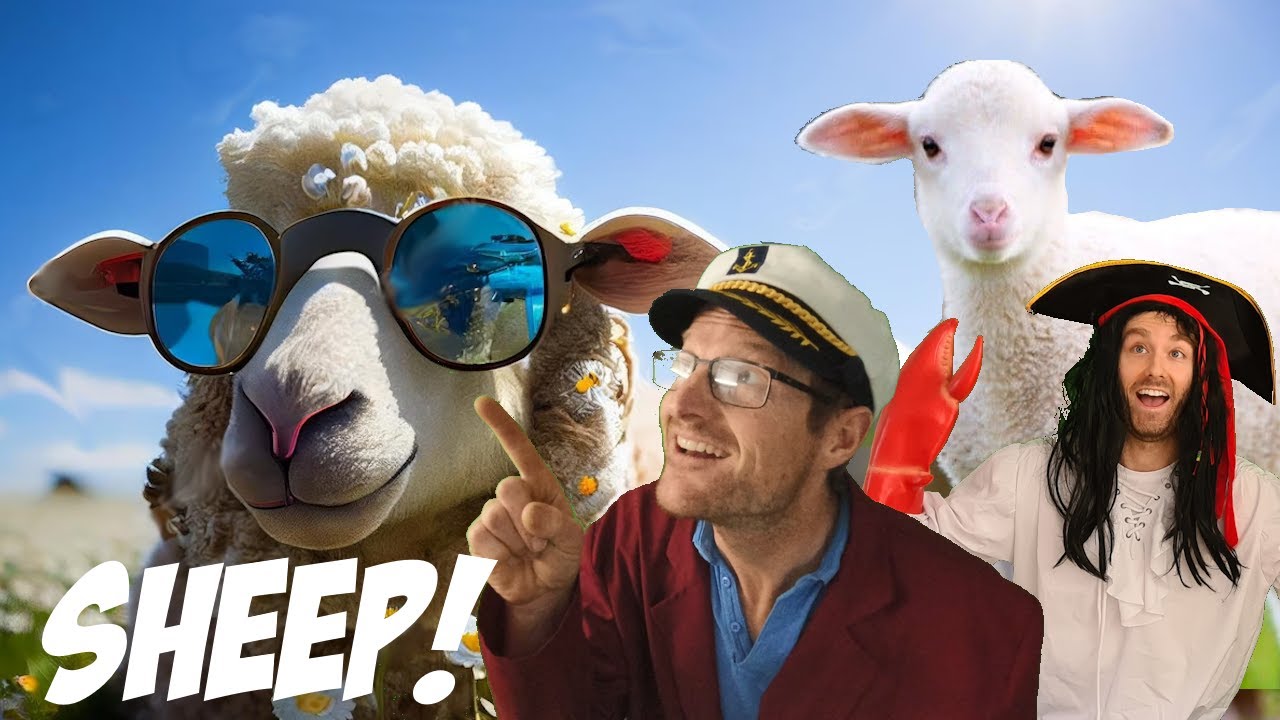 Learn about Sheep - Visit a Farm with Captain Bobbo! Videos for Kids ...