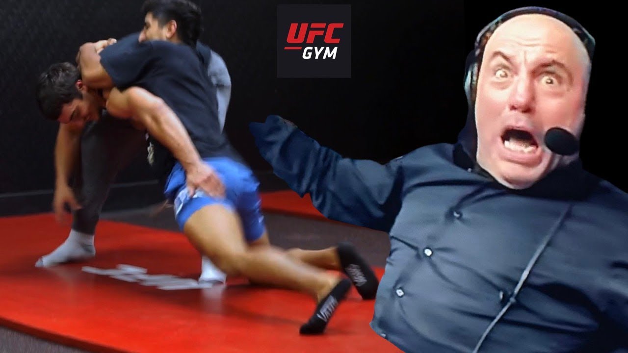 Searching for Joe Rogan on leg day - YouTube