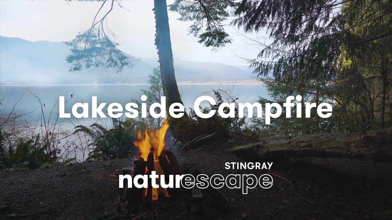 Lakeside Campfire - YouTube