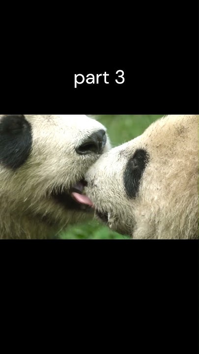 About Pandas Part 3 Youtube