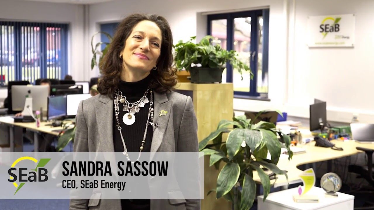 SEaB Energy - Micro Anaerobic Digestion Systems - YouTube