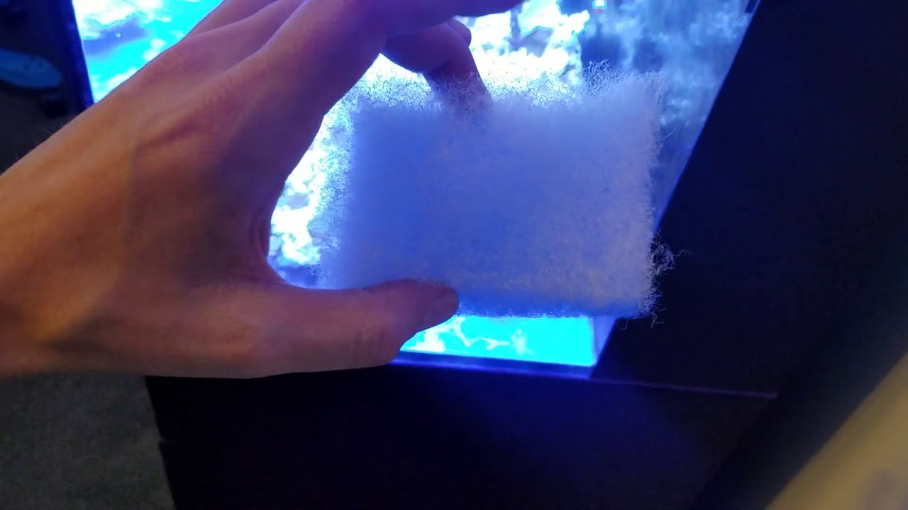 Cobalt Aquatics C-Vue Series Aquarium Overflow Silencer - YouTube