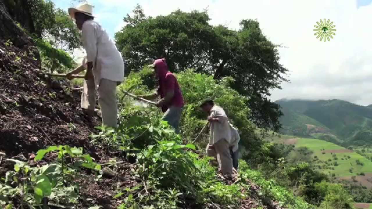 9. El tlacolol - YouTube