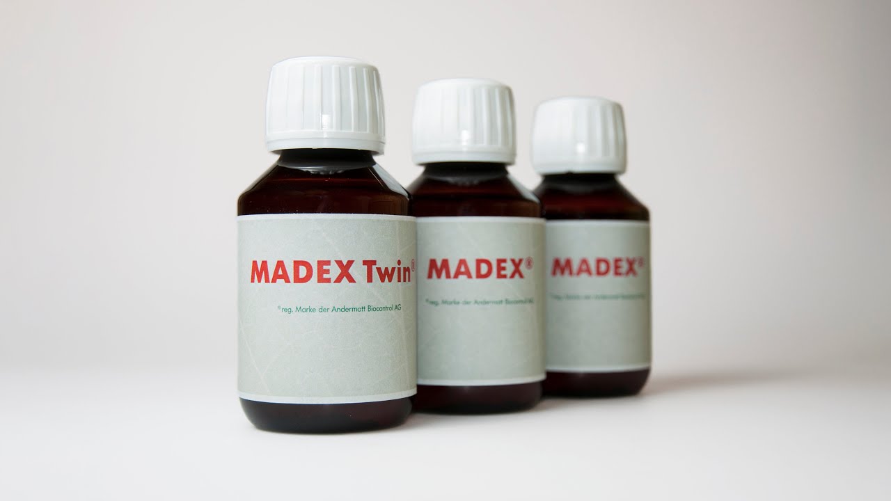 Madex Twin Ukraine - YouTube