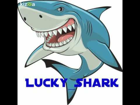 Lucky Shark Intro - YouTube