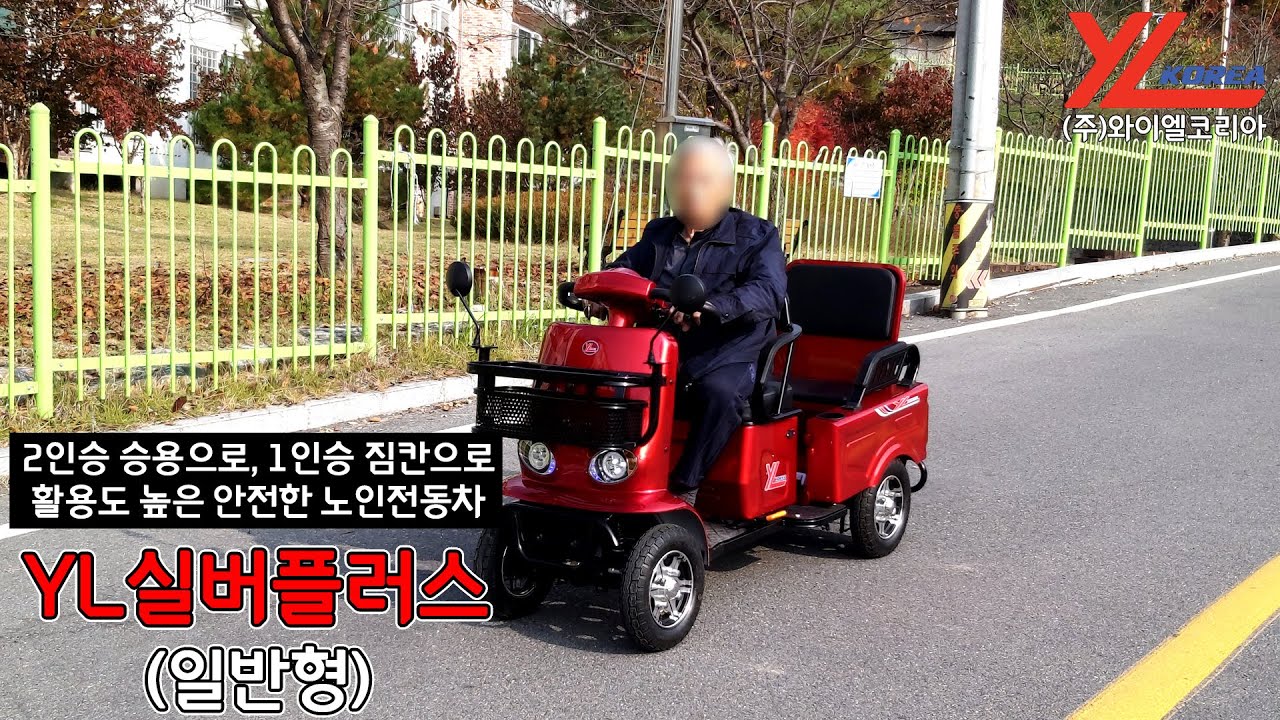 운전이 어려우신 부모님을 위한 안전하고 편안한 노약자용 근거리 이동수단 고급형 2인승 4륜 노인 전기차 Yl실버플러스일반형