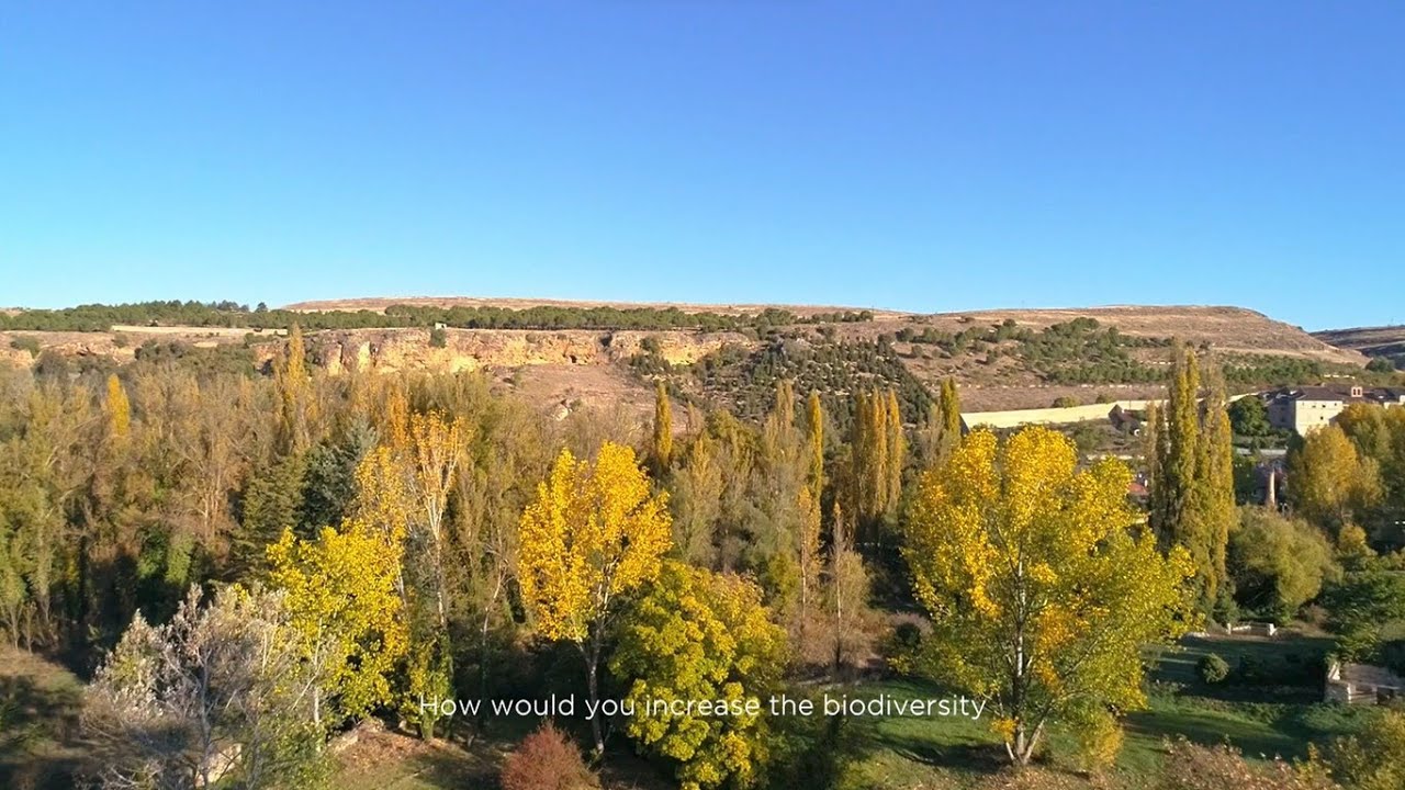 Study in Segovia | IE University Driving Innovation - www.ie.edu