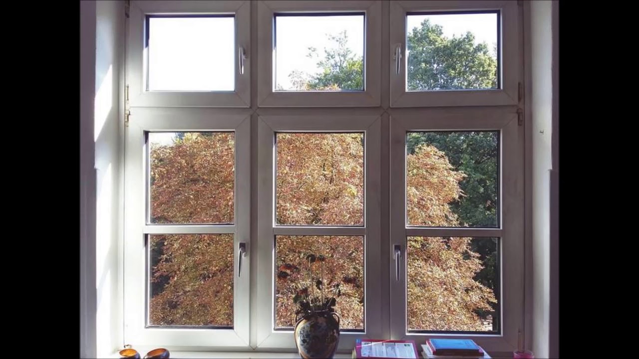 Poem: David Berman - Self-Portait at 28 - YouTube