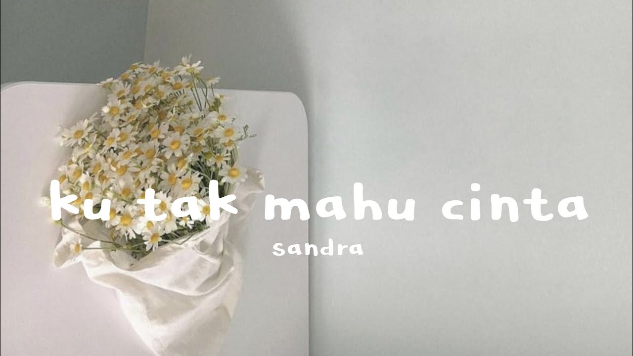 Sandra - Ku Tak Mahu Cinta ( Lirik Lagu ) Tiktok Version tanpa malu ...