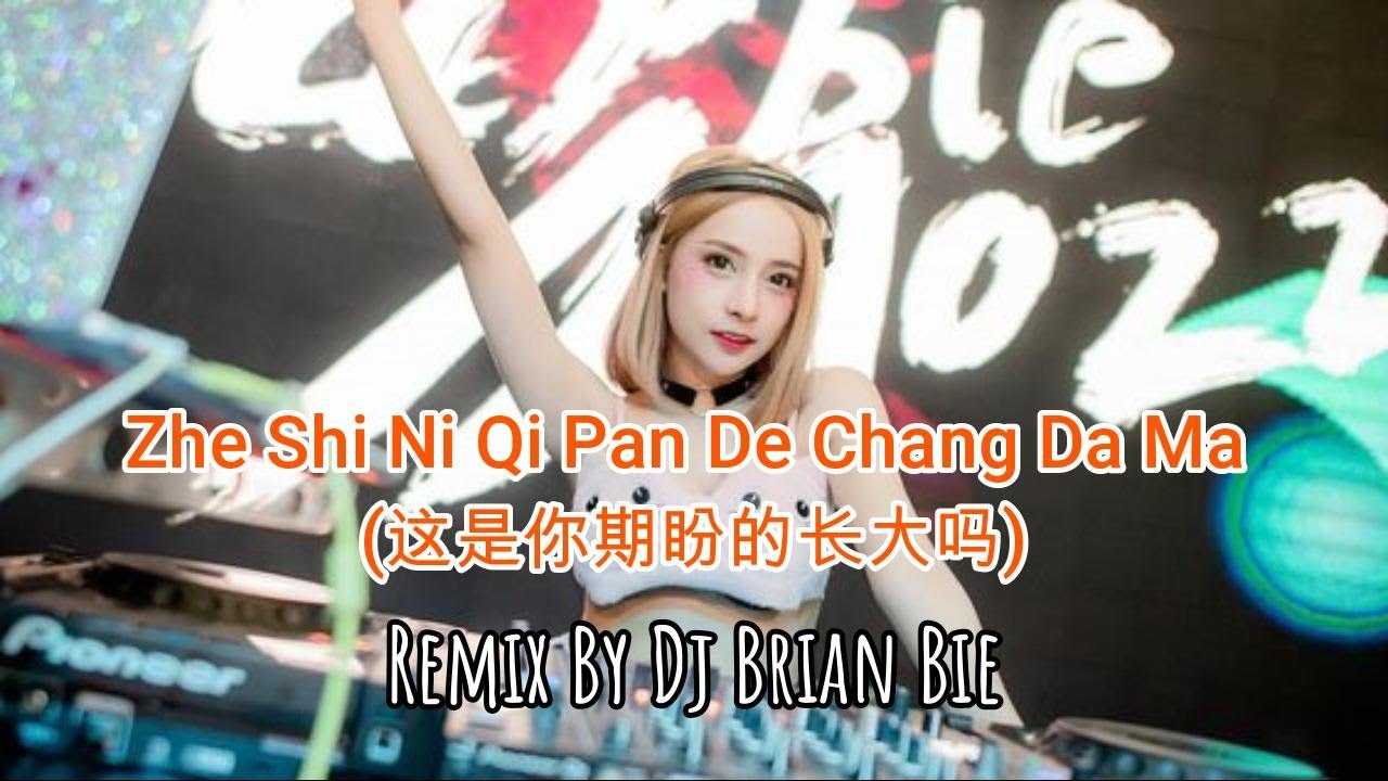 Zhe Shi Ni Qi Pan De Chang Da Ma - 这是你期盼的长大吗 (Electro Manyao) By Dj ...