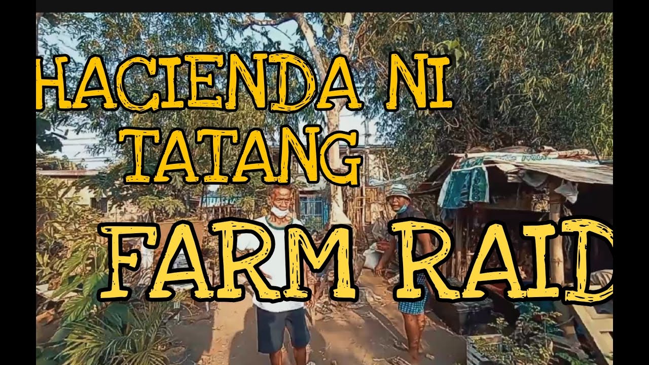 HACIENDA NI TATANG (FUNNY FARM RAID) #FUNNYVIDEO #BRAZIL #MEMES # ...
