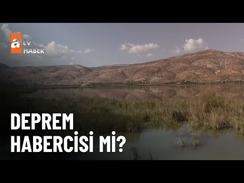 Su seviyesindeki değişikliğe dikkat!  - atv Ana Haber 14 Kasım 2023