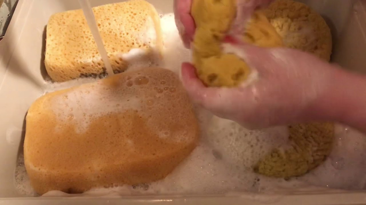 💧Rinsing Soapy Sponges from last video 💦 - YouTube