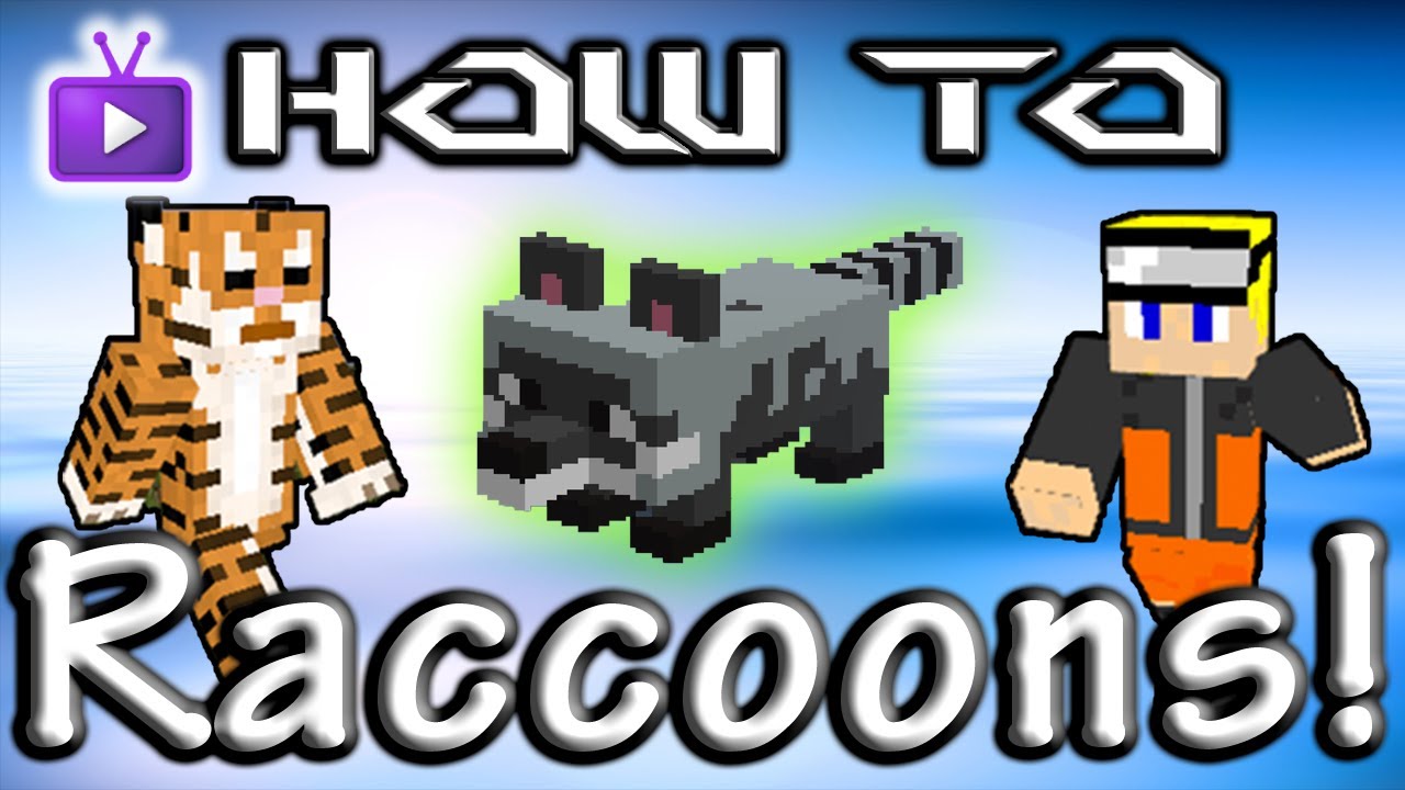 Minecraft How To: Mo' Creatures - Raccoons! - YouTube