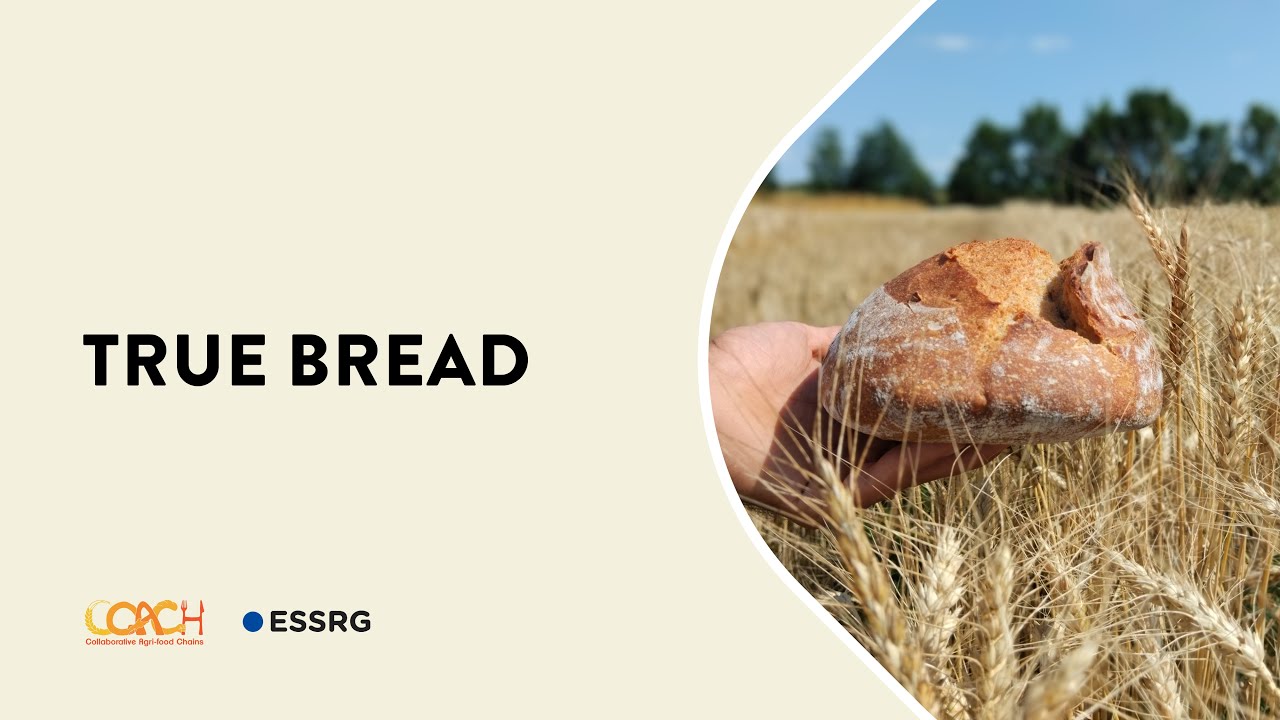 True Bread - YouTube