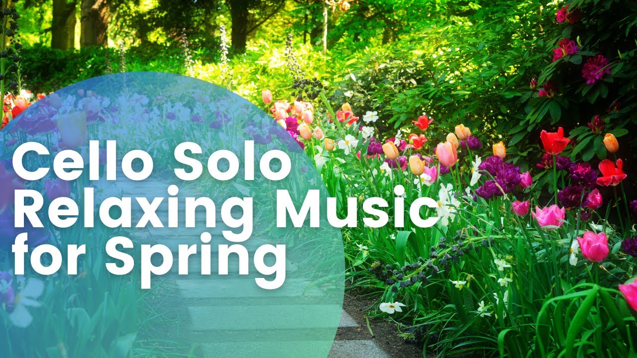 Calming Relaxing Cello Music for Spring - YouTube
